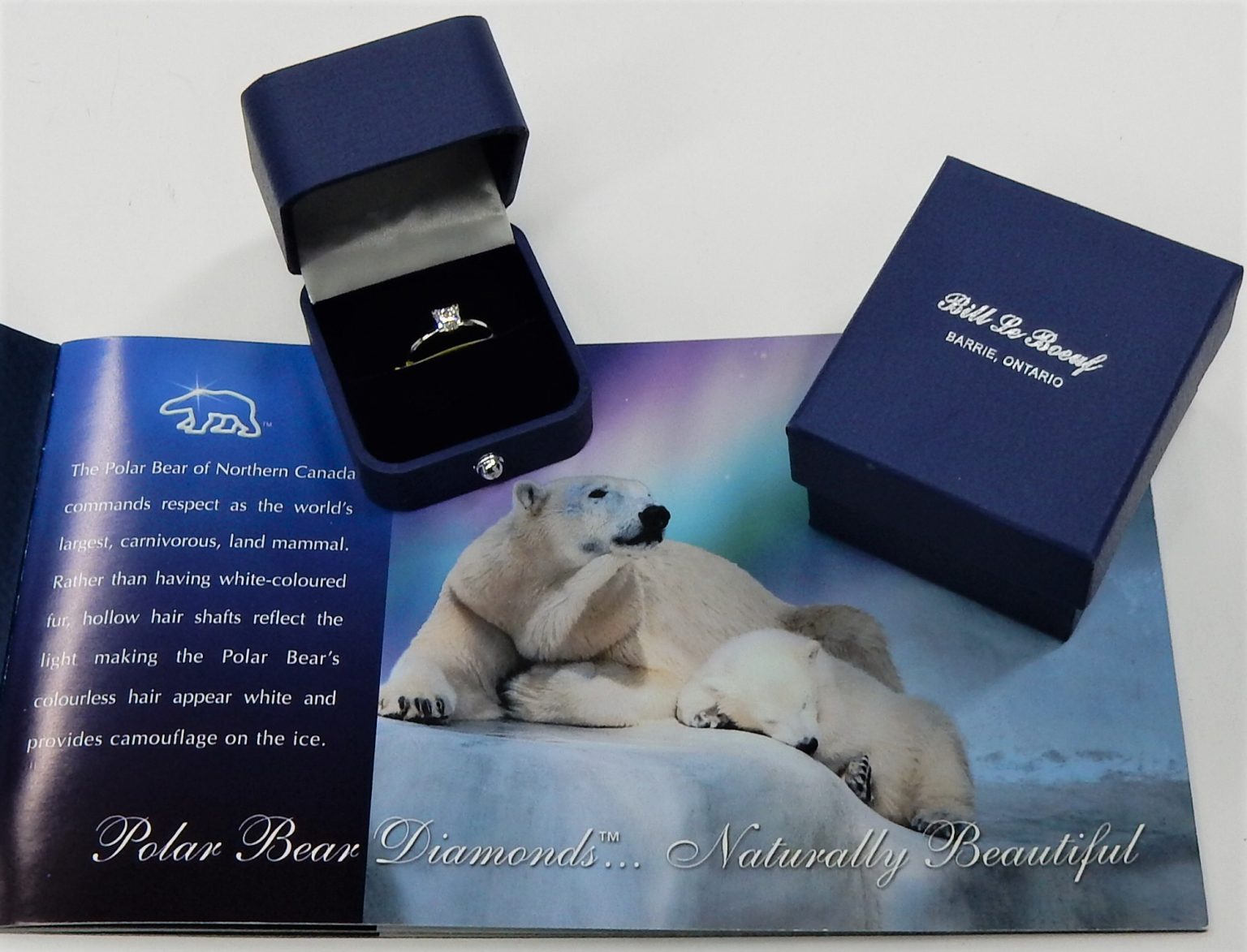 Bill Le Boeuf Jewellers - Barrie, Ontario - Uncategorized